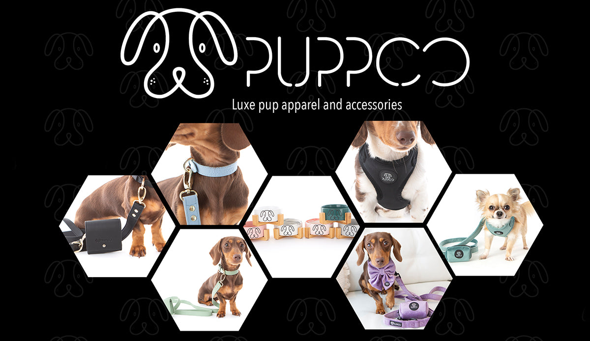 Size Guides All Products – PuppCo